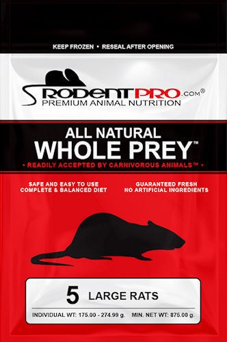 Frozen Feeder Rodents - Frozen Mice & Feeder Rats for Premium-Quality ...
