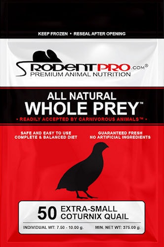 Frozen Quail for Sale | Order Frozen Feeder Quail & Frozen Quail Chicks ...