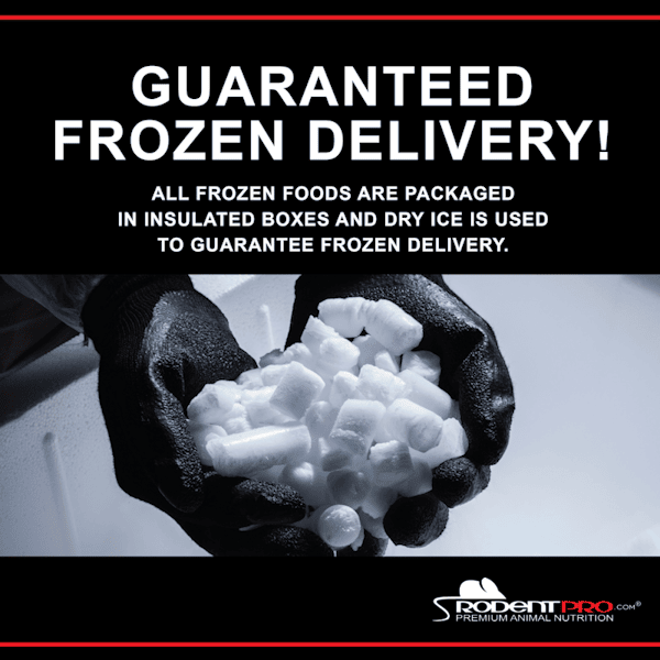 Peach Fuzzy Mice | Buy White Peach Fuzzy Mice (100 Per Bag) at Rodent Pro