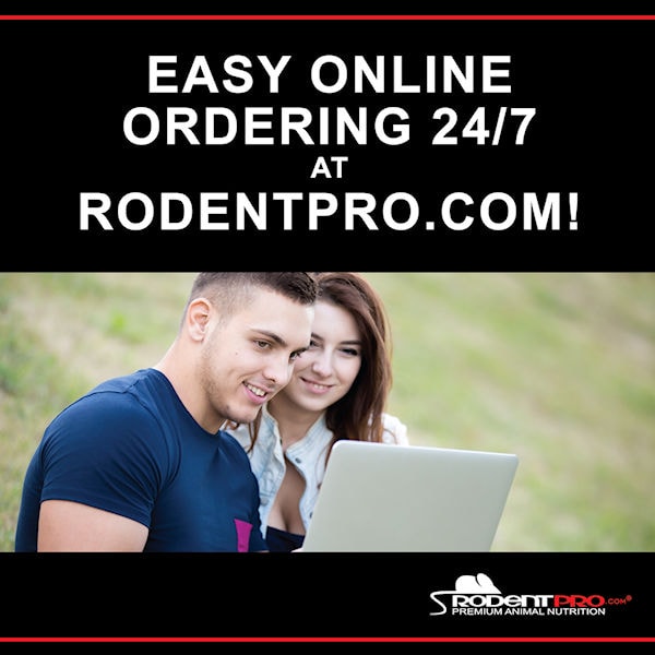 Medium Feeder Rabbits | Shop High-Quality Frozen Feeder Rabbits for ...