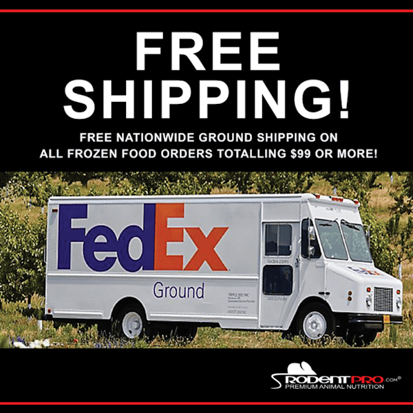 Peach Fuzzy Mice | Buy White Peach Fuzzy Mice (100 Per Bag) at Rodent Pro