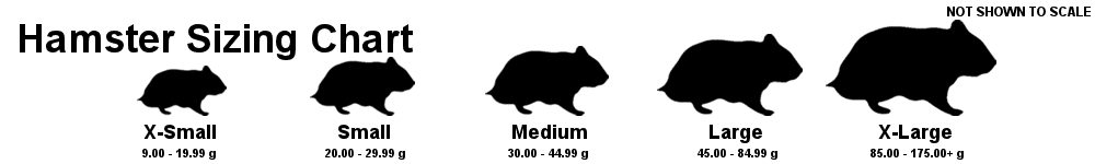 Frozen Extra-Large Hamsters for Sale: Shop at RodentPro