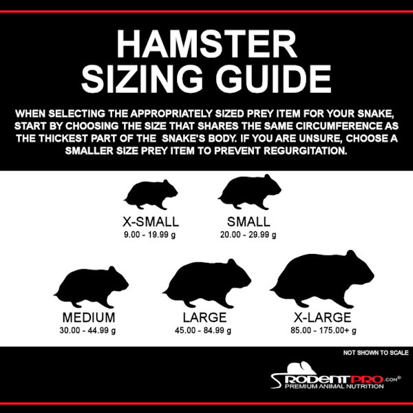 Frozen Medium Hamsters 5ct for Sale: Shop Online RodentPro