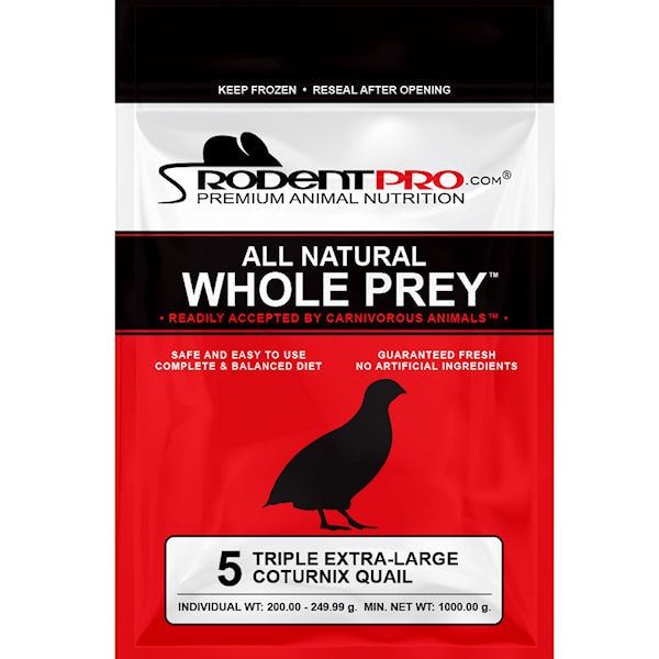 Adult Quail for Snakes & Birds of Prey | Order Triple Extra-Large ...