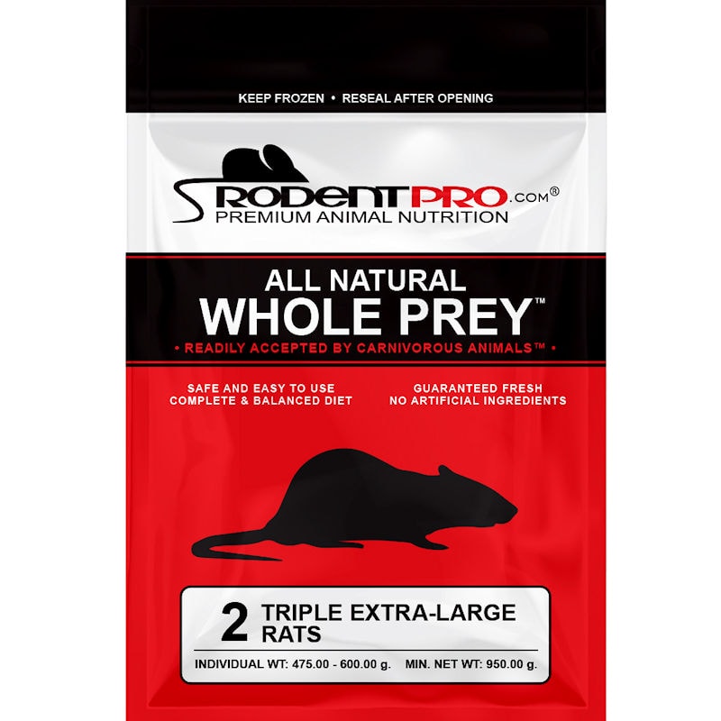 Triple Extra-Large Frozen Rats (2 Per Bag) - Frozen Feeder Rats | RodentPro